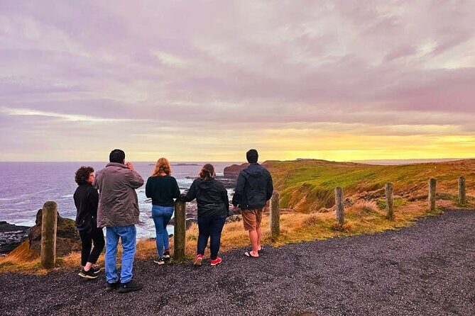 Phillip Island: Golden Hour Penguin Express Tour w/ Island Pickup - Return Journey: Reflecting on a Day Full of Wildlife