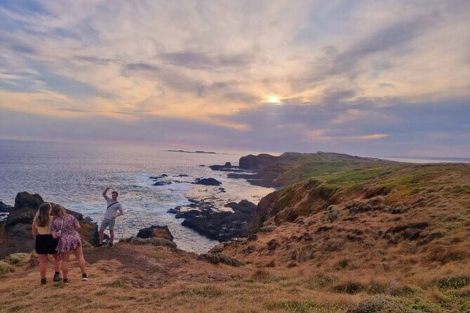 Phillip Island: Golden Hour Penguin Express Tour w/ Island Pickup - Who Will Love This Tour?