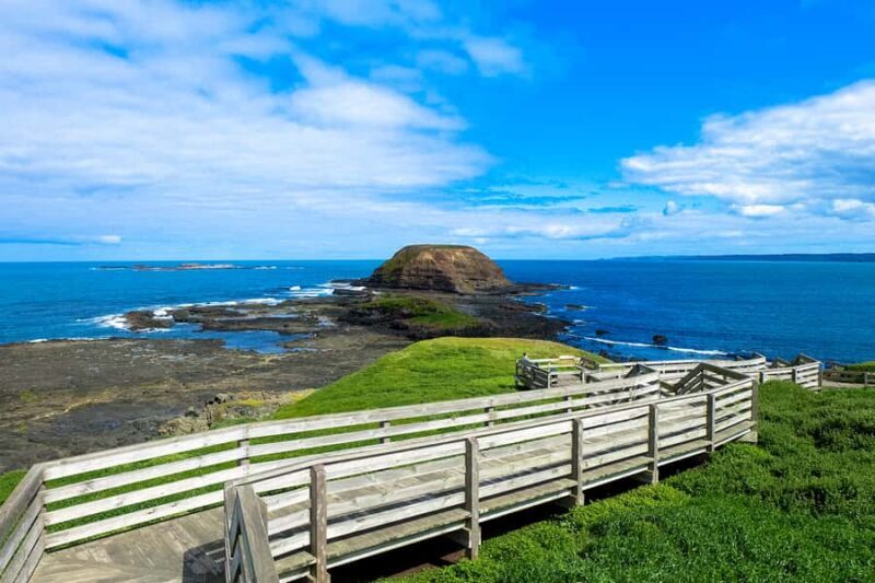 Phillip Island: Hike and Penguin Parade - 8 pax Small Tour - Who Should Consider This Tour?