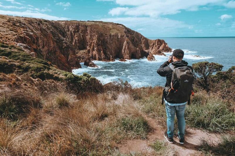 Phillip Island: Hike and Penguin Parade - 8 pax Small Tour - The Sum Up: Is It Worth It?