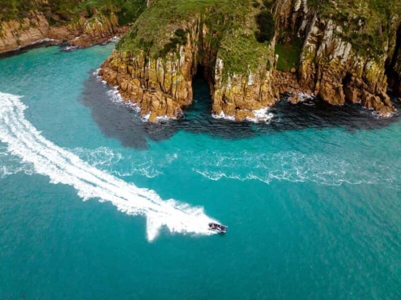 Phillip Island: Hop-On Hop-Off Bus Tour - Who Will Love This Tour?