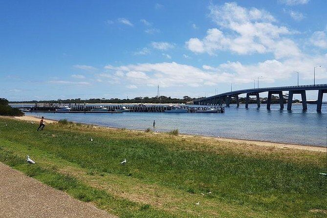 Phillip Island Penguin and wildlife Tour - Who Should Consider This Tour?