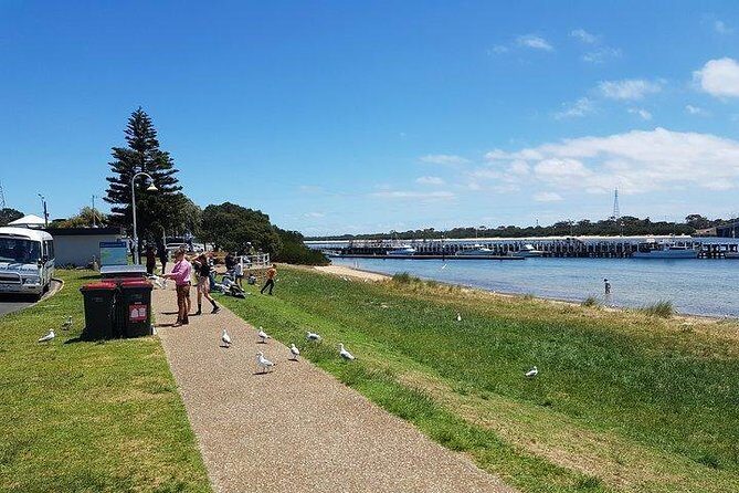 Phillip Island Penguin and wildlife Tour - Frequently Asked Questions