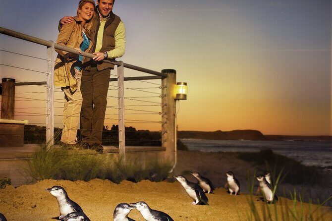 Phillip Island & Penguin Parade Afternoon Eco Tour from Melbourne - What’s Included & What’s Not