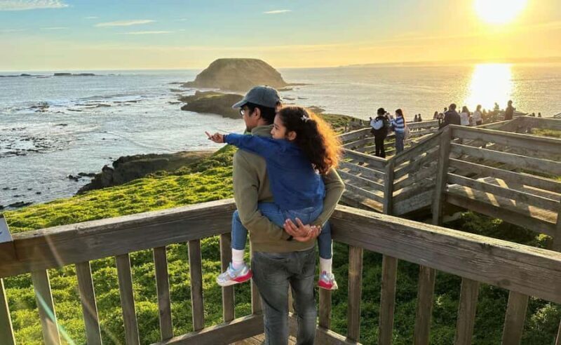 Phillip Island Penguin Parade Afternoon Tour from Melbourne - Considerations for Travelers