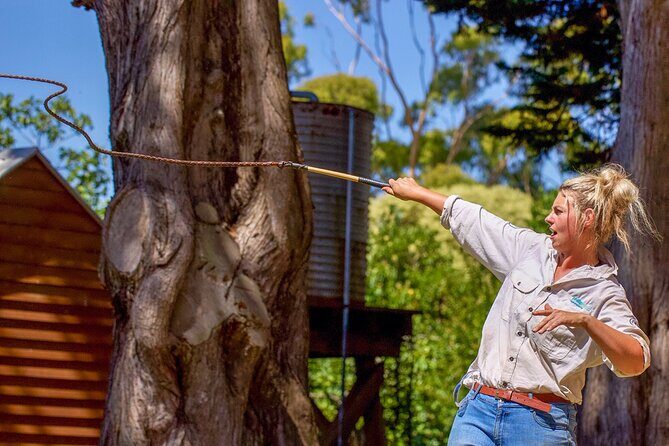 Phillip Island Penguin Parade and Churchill Island Farm Bus Tour - FAQ