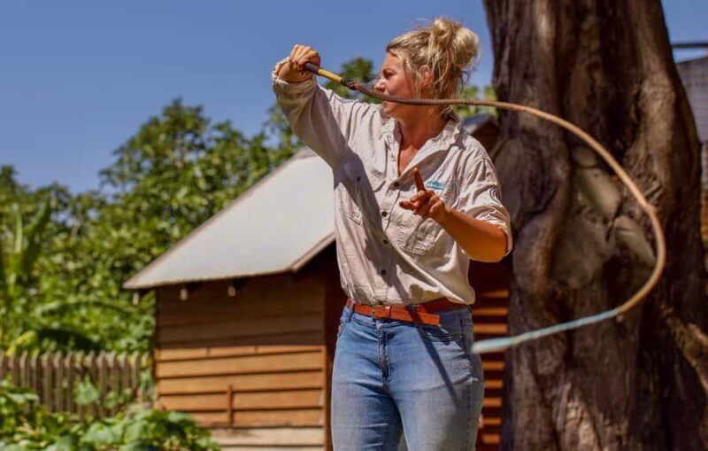 Phillip Island: Penguin Parade and Multi Attraction Pass - Key Points