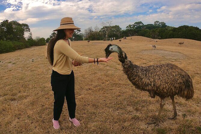 Phillip Island Penguin Parade and Wildlife Tour from Melbourne - FAQs