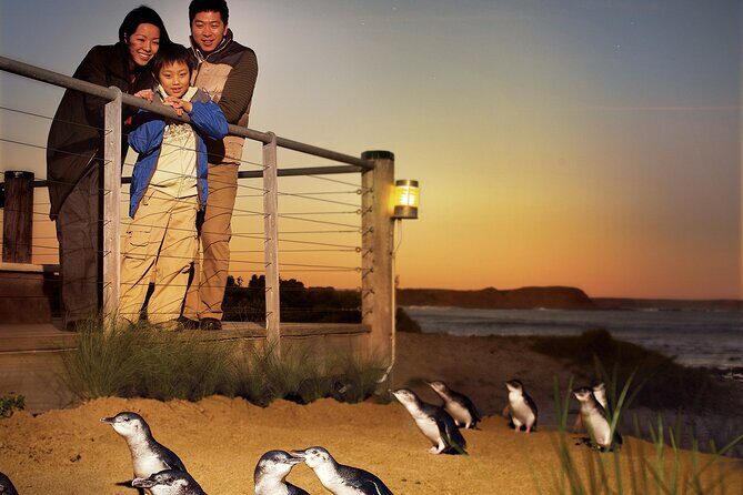 Phillip Island Penguin Parade Express Tour from Melbourne - FAQ