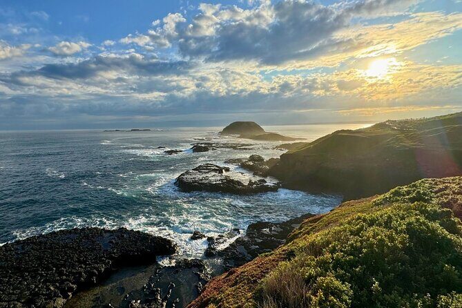 Phillip Island Penguin Parade Express Tour from Melbourne - Final Thoughts