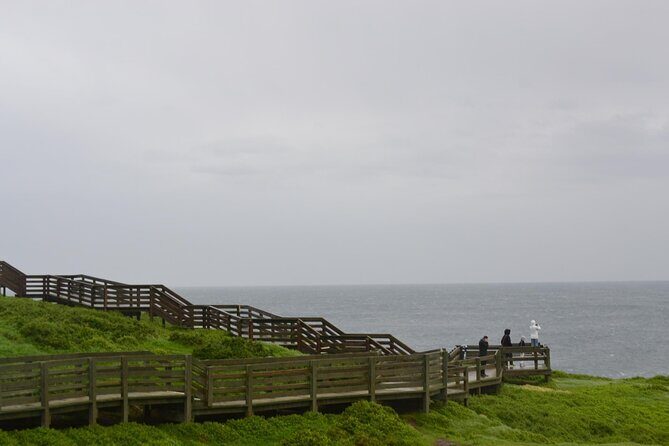 Phillip Island Penguin Parade Private Tour - What You Can Expect from the Tour