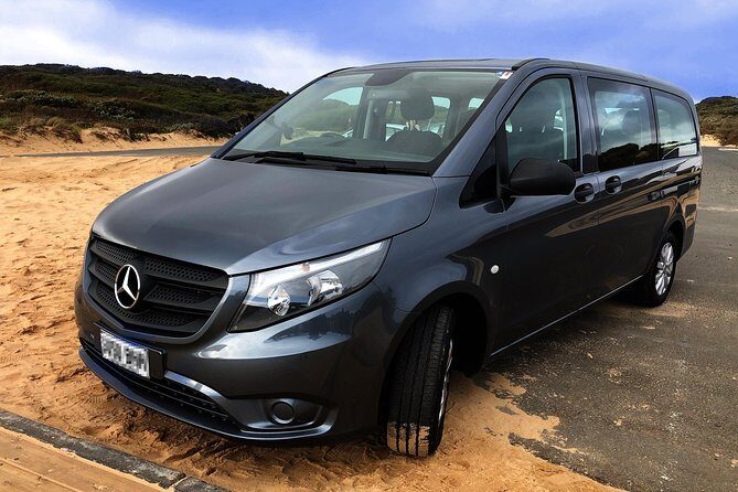 Phillip Island Penguins Private Adventure - An In-Depth Look at the Phillip Island Penguins Private Adventure