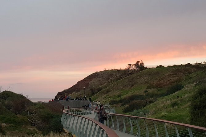 Phillip Island Private Experience - FAQ