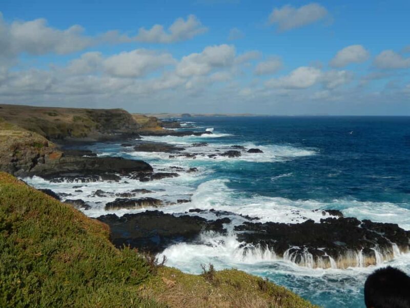 Phillip Island: Private Guided Tour with Penguin Parade - An In-Depth Look at Phillip Island Private Tour