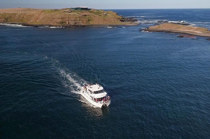 Phillip Island Seal-Watching Cruise - The Value of the Tour