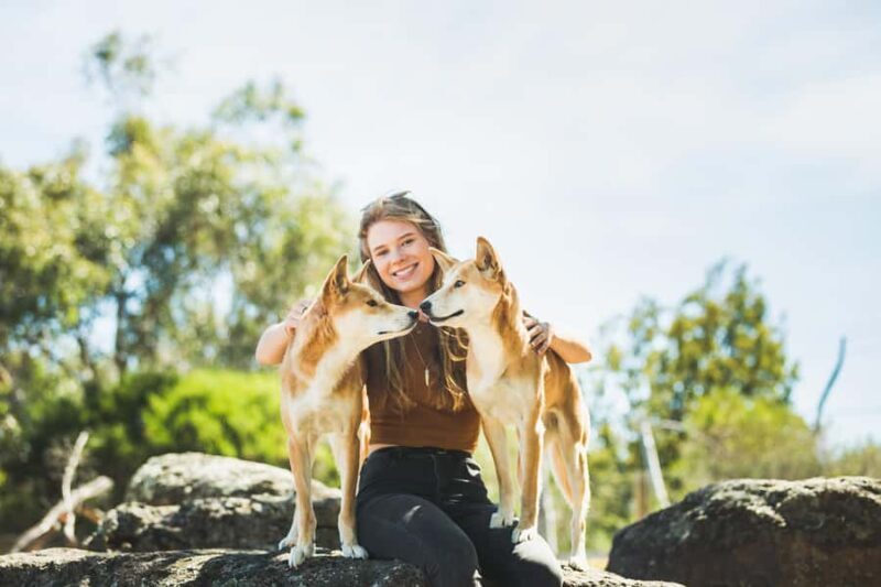 Phillip Island Wildlife & Brighton Beach Boxes Private Tour - Authentic Feedback from Travelers