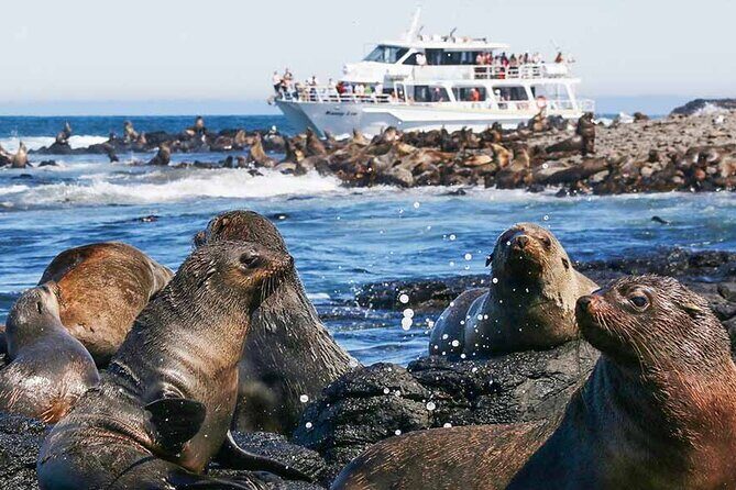 Phillip Island Wildlife Cruise and Penguin Tour from Melbourne - FAQ