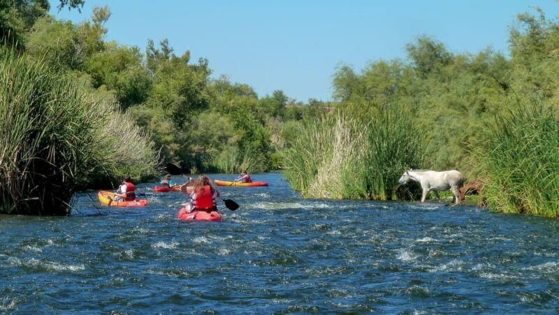 Phoenix: Self-Guided Kayaking Trip to Foxtail - The Sum Up