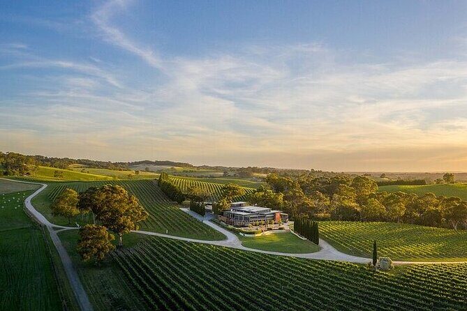 Phoenix Vortex to Vineyard Shared Tour - Key Points  