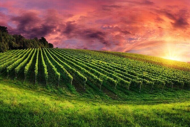 Phoenix Vortex to Vineyard Shared Tour - Final Thoughts