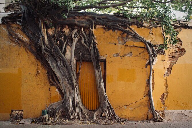 Photo Walking Tour Historic District Mazatlán - What is the Experience Like?