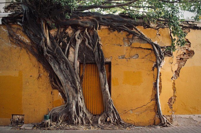 Photo Walking Tour Historic District Mazatlán - Practicalities and Tips