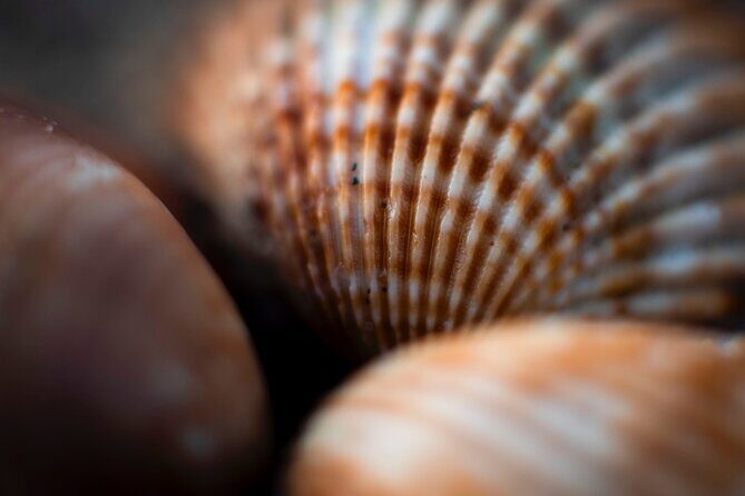 Photo Walking Tour Sitges Experience Beaches and Town - Key Points