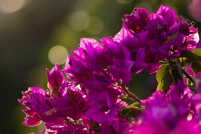 Photo Walking Tour Sitges Experience Beaches and Town - The Practicalities: What’s Included and What to Keep in Mind