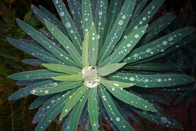 Photography Tour walking the back streets of London's West End (3 hours) - Frequently Asked Questions