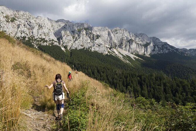 Piatra Craiului National Park Private Hiking Tour from Brasov - Key Points  