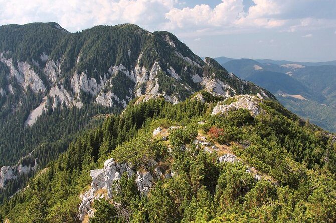 Piatra Craiului National Park Private Hiking Tour from Brasov - Practical Details and What You Need to Know  