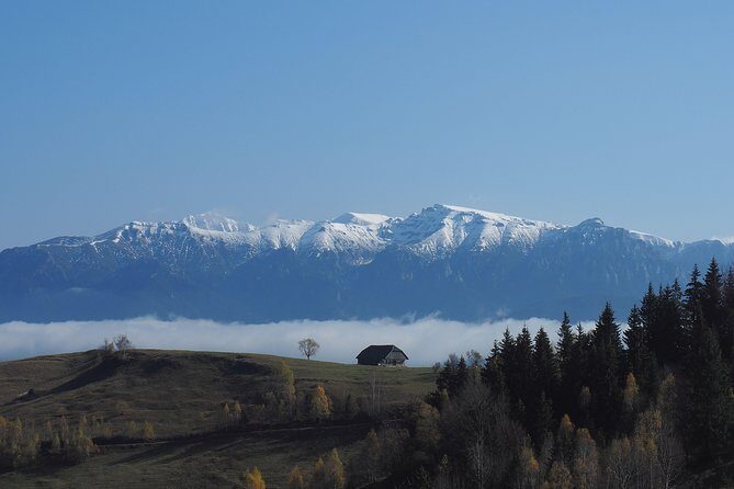 Piatra Craiului National Park Private Hiking Tour from Brasov - Why This Tour Is a Great Choice  