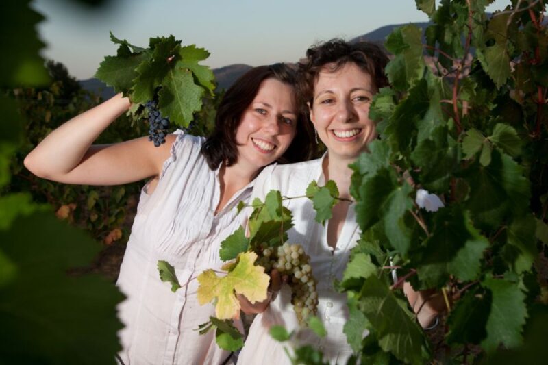 Pic nic Deluxe Assisi and wine tasting 5 wines - The Sum Up