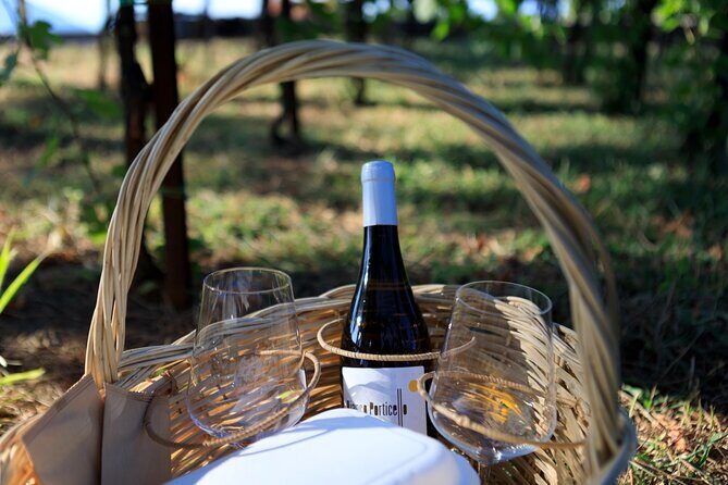 Pic-nic in the vineyard - The Itinerary: A Deep Dive