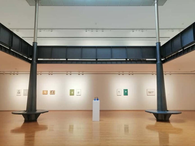 Picasso Museum and Walking Tour Plus Wine Tasting Upgrade - Who Will Love This Tour?