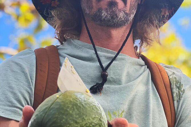 Pick and Taste Tropical Fruit - Exploring the Kauai Organic Farm and Orchard