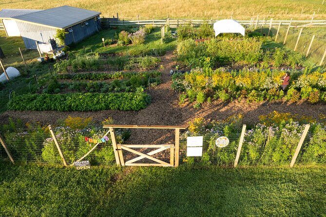 Pick Your Own Flowers on the Farm - Who Should Book This Experience?