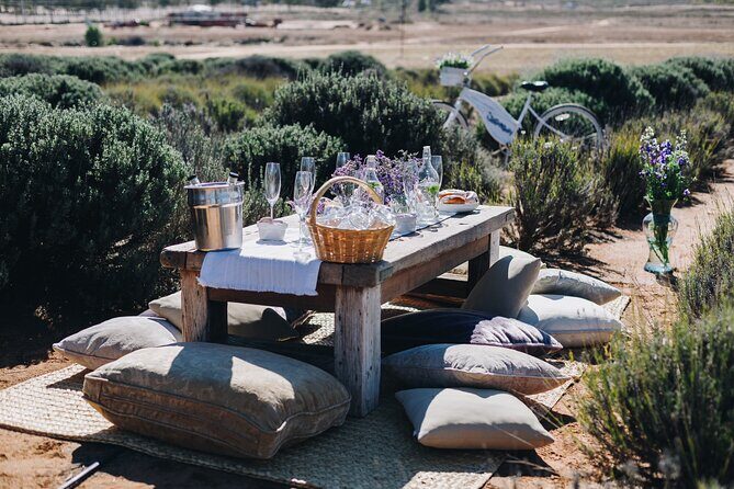 Picnic among lavender - FAQs About the Lavender Picnic Tour