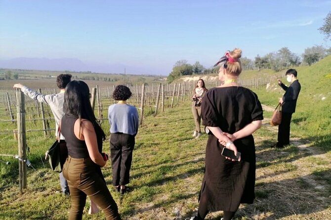 Picnic and Lugana Tour at Perla del Garda winery - Who Will Love This Tour