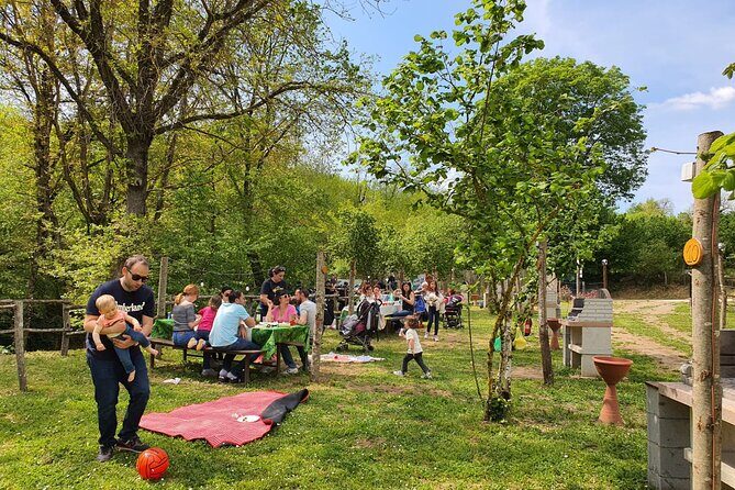 Picnic Area with Barbecue Equipment in Capranica (VT) - Why Travelers Keep Coming Back