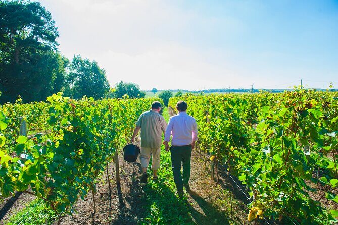 Picnic in the Vines - A Unique Loire Wine Experience - The Authenticity and Reviewer Insights