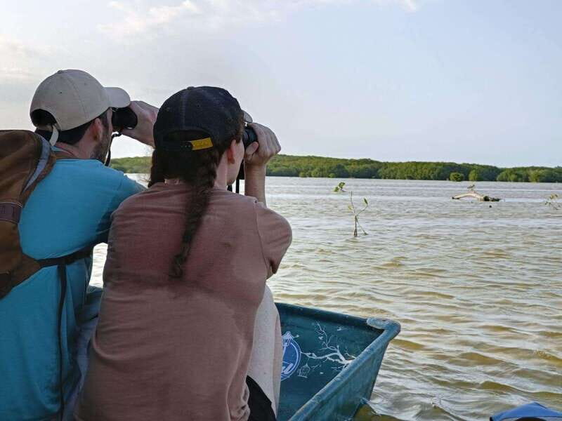 PICNIC ON A SANDBANK + KAYAK ADVENTURE FROM SISAL PUERTO - Who Should Consider This Tour?