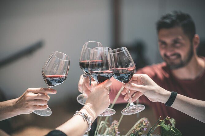 Picnic on the lawn -aromatic garden and winery - Key Points  