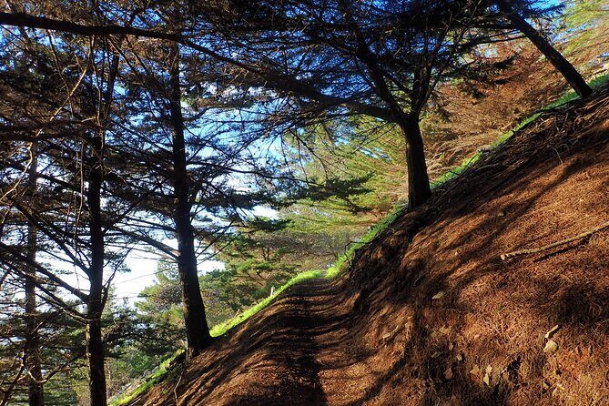 Pico do Facho Panoramic Trail - An In-Depth Look at the Pico do Facho Panoramic Trail Experience