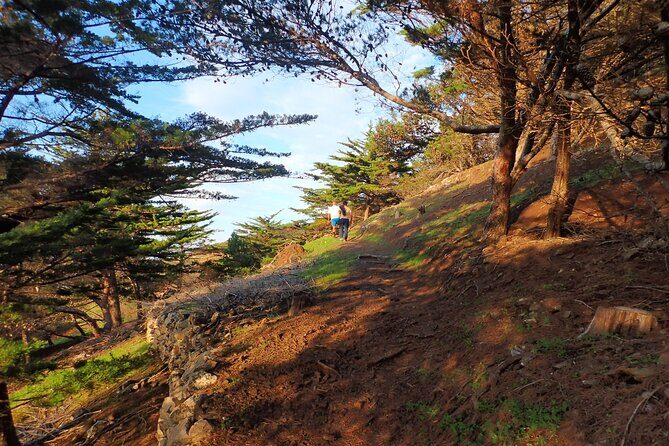 Pico do Facho Panoramic Trail - Authentic Insights from Reviewers
