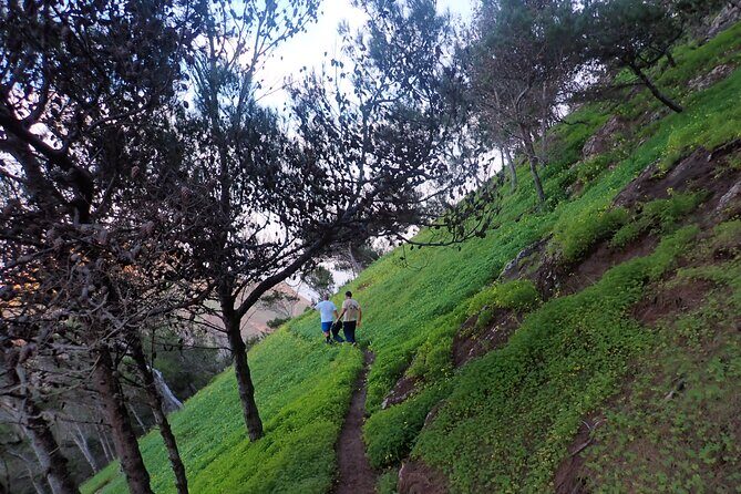 Pico do Facho Panoramic Trail - FAQ