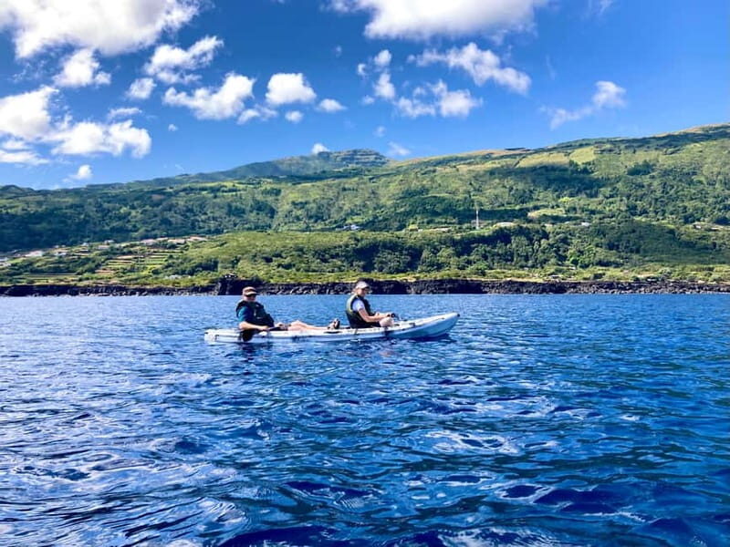 Pico island: guided kayak and snorkel tour - The Sum Up