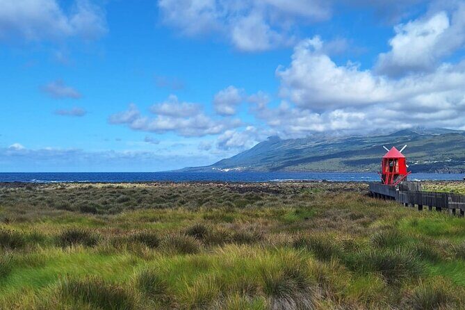 Pico Island highlights - Private tour (+ optional wine tasting) - What makes this tour special: Key features and highlights