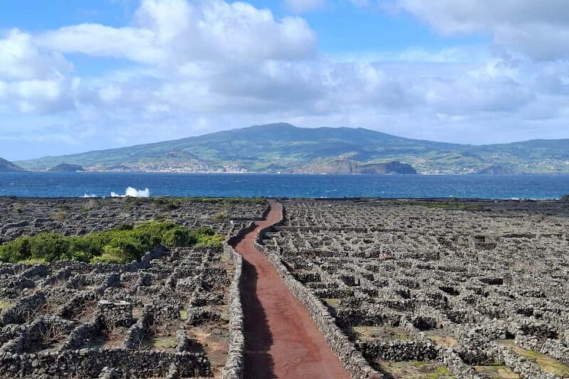 Pico Island: Private Highlights Tour - Key Points