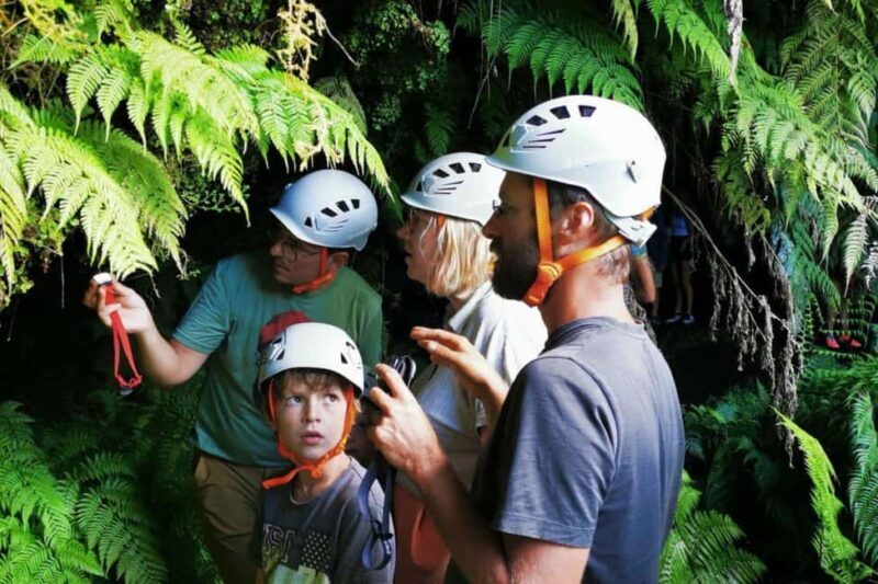 Pico Island: Private Highlights Tour - Who Would Love This Tour?